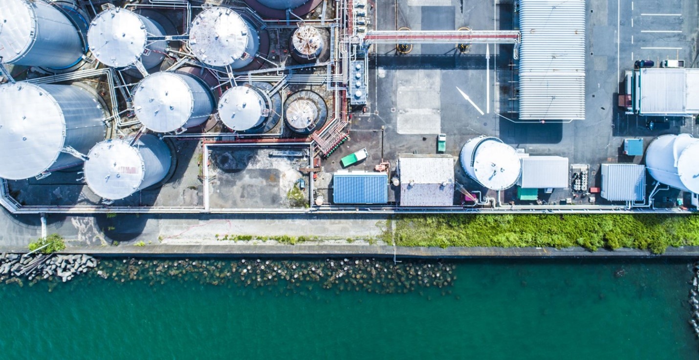 We Research: The opportunities and future prospects of alternative ...